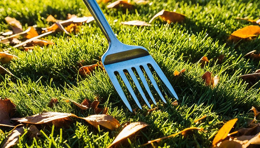 When To Scarify Lawn