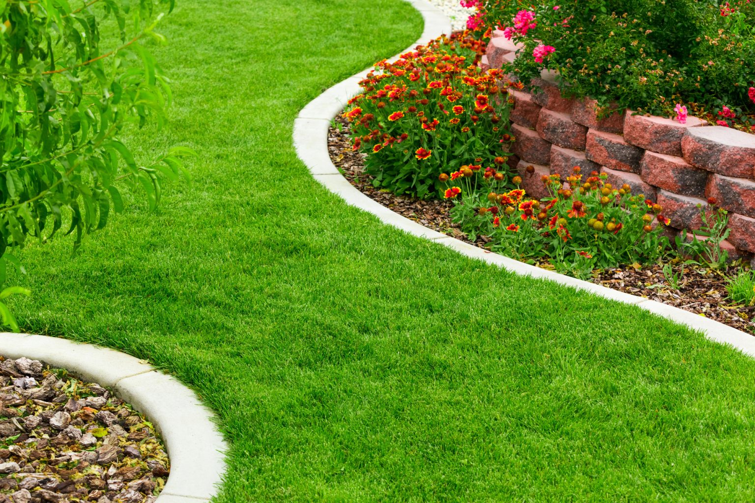 The Real Reason Dog Urine Burns Yellow Patches Into Your Lawn - Lawn ...