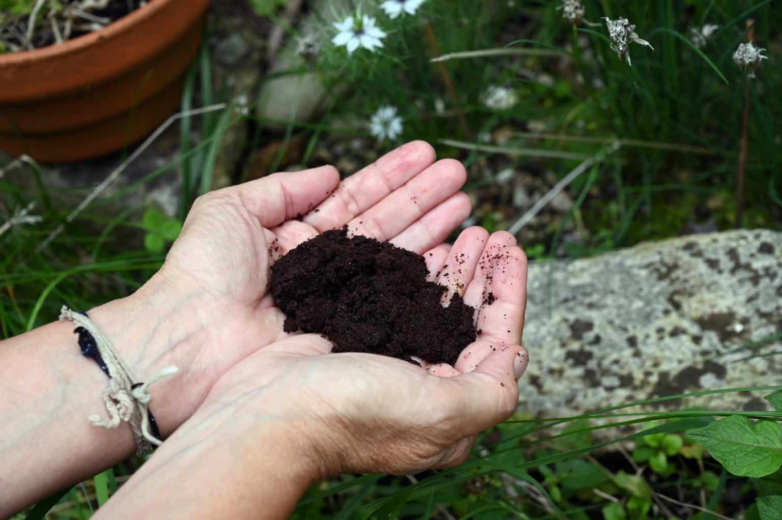 Why Composting Grass Clippings Beats Binning Them Every Summer - Lawn ...