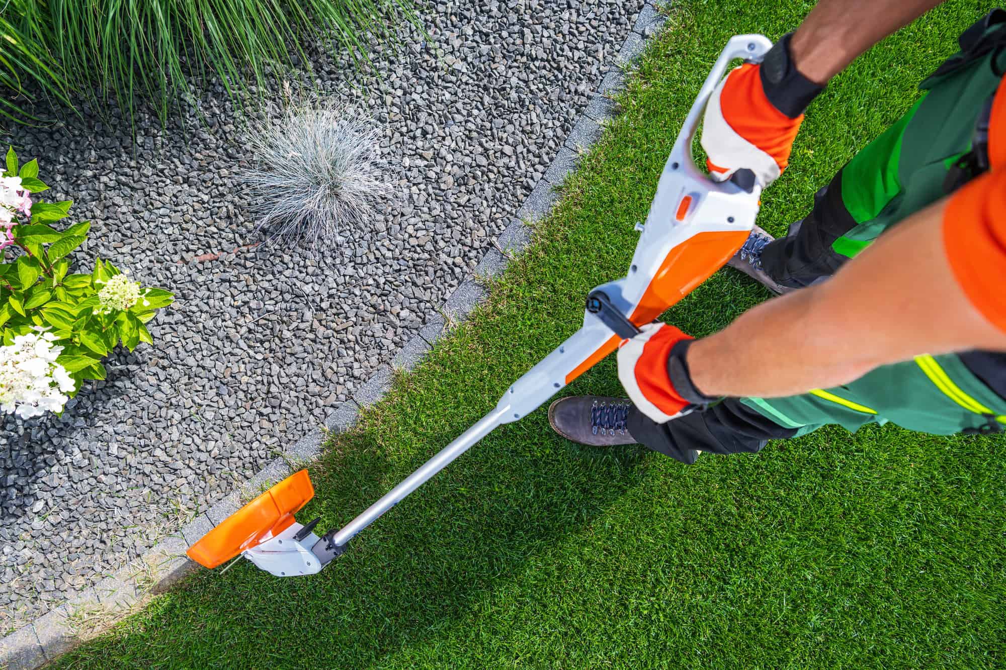How to Cut an Overgrown Lawn in June Without Stressing the Grass - Lawn ...